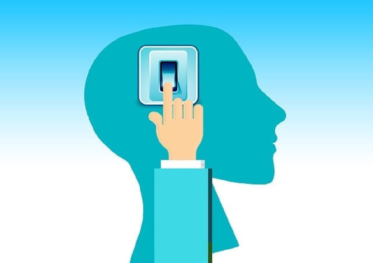 Un circuito cerebral relacionado con la memoria podría explicar algunos ...