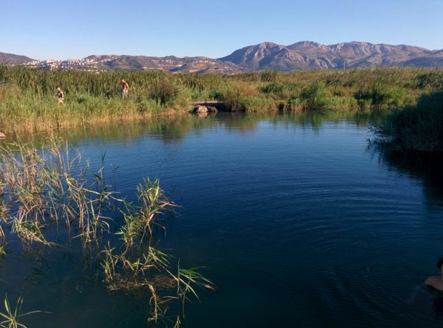 La Marjal: no es Doñana, es la costa de Valencia y Alicante